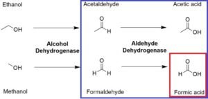 Why is Methanol Toxic, But Not Ethanol? | FTLOScience