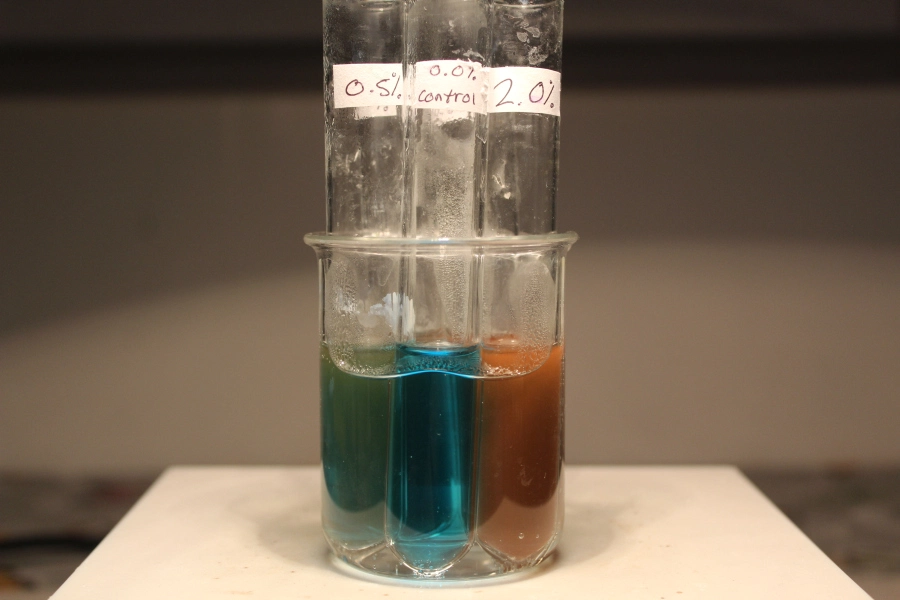 Demonstration: Benedict's Test for Reducing Sugars | FTLOScience