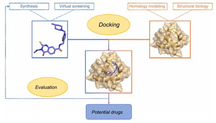 Molecular Docking: Bioinformatics in Drug Discovery | FTLOScience