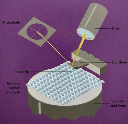 An Introductory Guide to Atomic Force Microscopy (AFM) | FTLOScience