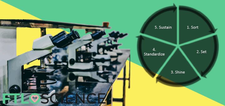 Organize Your Lab With the 5S Method | FTLOScience