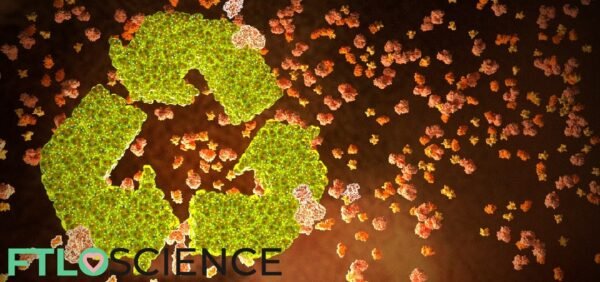 How to Interpret Protein Ribbon Diagrams | FTLOScience