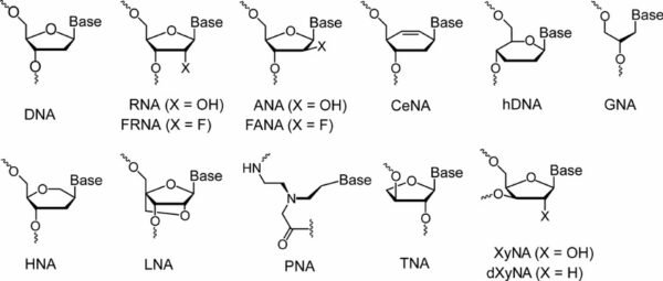 Xeno Nucleic Acids: Research into Modified DNA | FTLOScience