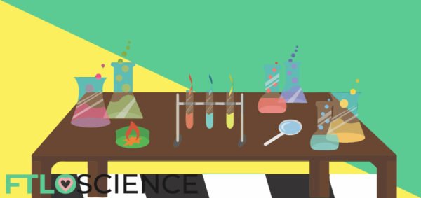 Complete Guide to Writing a Lab Report (With Example) | FTLOScience