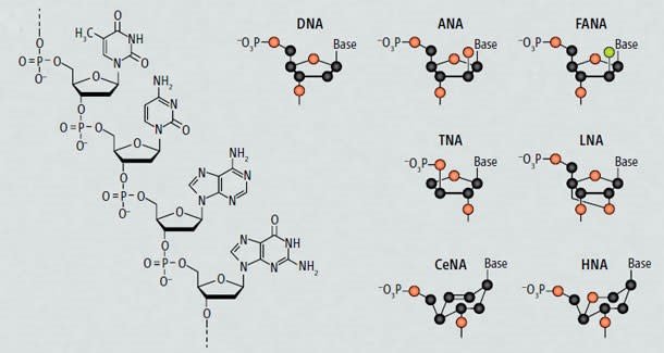 Xeno Nucleic Acids: Research into Modified DNA | FTLOScience