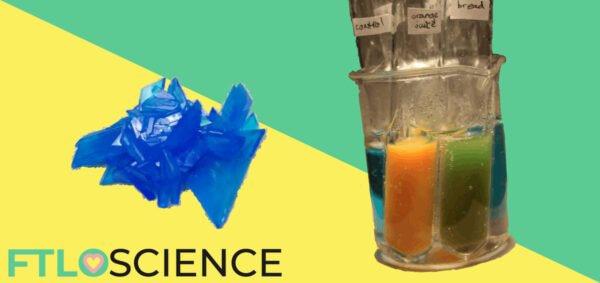 Master Electronegativity (What You Don't Learn in Class) | FTLOScience