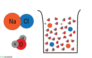 Master Electronegativity (What You Don't Learn in Class) | FTLOScience