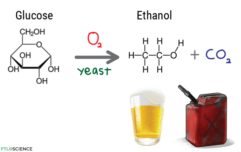 Producing Biofuel from Rice Husk—A Substitute For Gas? | FTLOScience