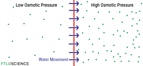 SCE and FD Calculations for Isotonic Solutions | FTLOScience
