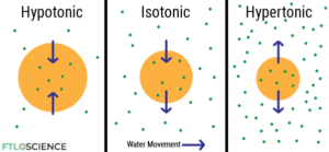 SCE and FD Calculations for Isotonic Solutions | FTLOScience